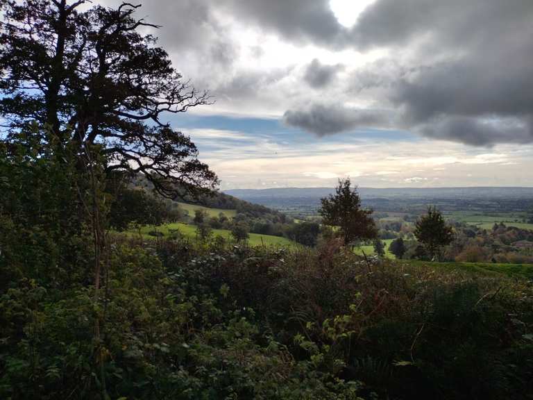 Taunton and the Quantocks loop - Quantock Hills | ride | Komoot