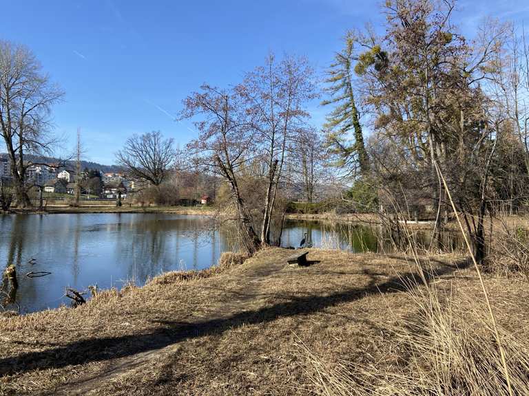 Schloss Au – Landgasthof Halbinsel Au boucle au départ de Horgen ...