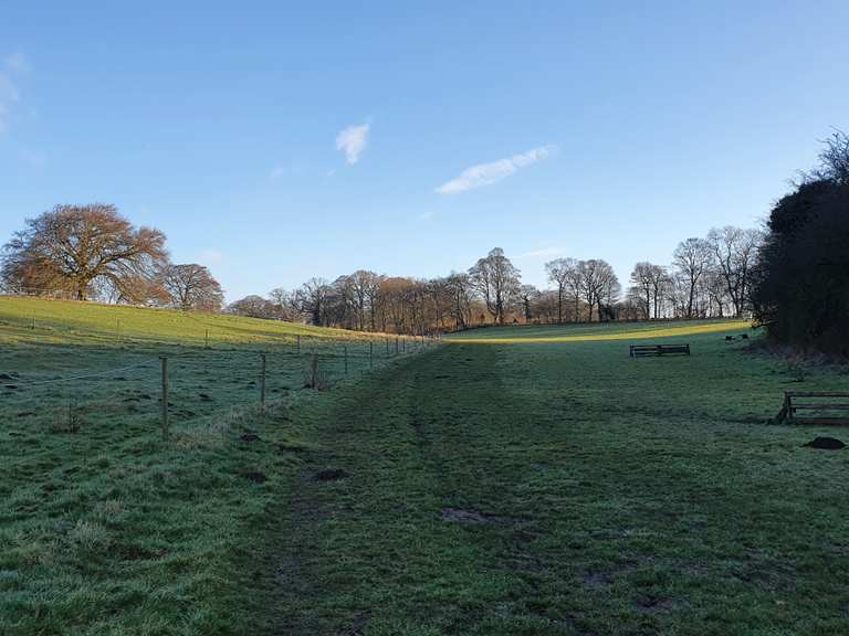 Walkington Park: Wanderungen und Rundwege | komoot