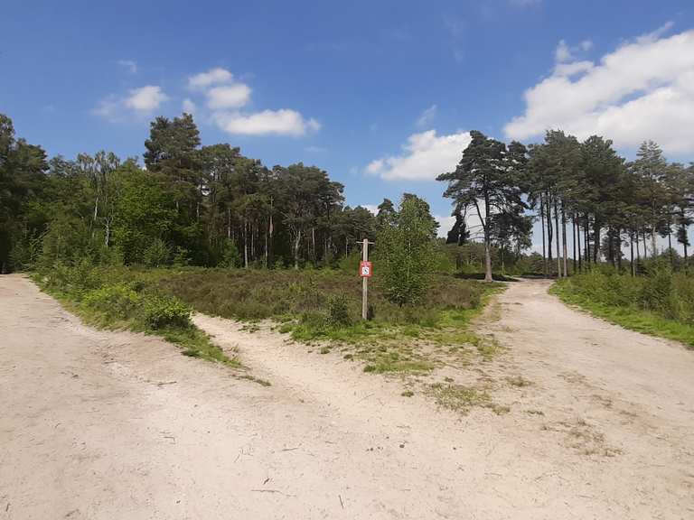 Esher Common Gravel Trail Cycle Routes and Map | Komoot