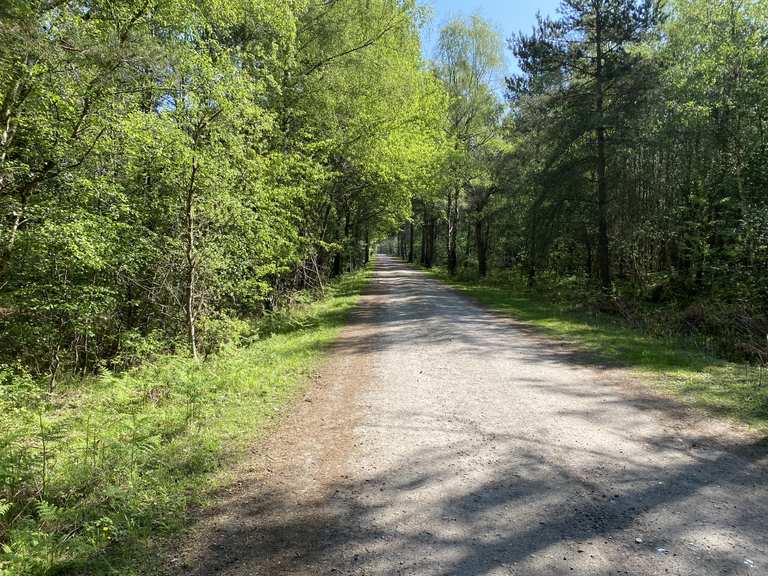 Longmoor Ranges: Mountainbike-Touren und -Trails | komoot