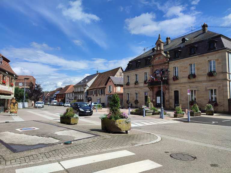 Musée du pain d'épice de Gertwiller : Radtouren und Radwege | komoot