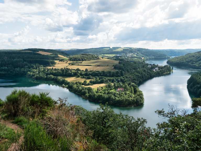 Obersauer Stausee: Wanderungen und Rundwege | komoot