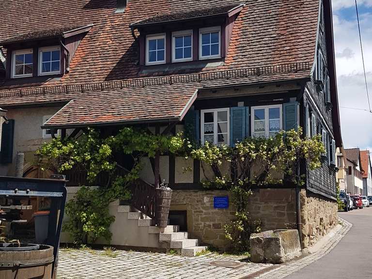 Rotenberg Routes for Walking and Hiking | Komoot