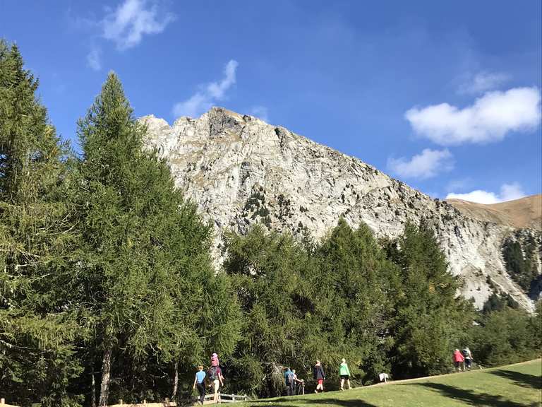 Majestätischer Ifinger: Wanderungen und Rundwege | komoot