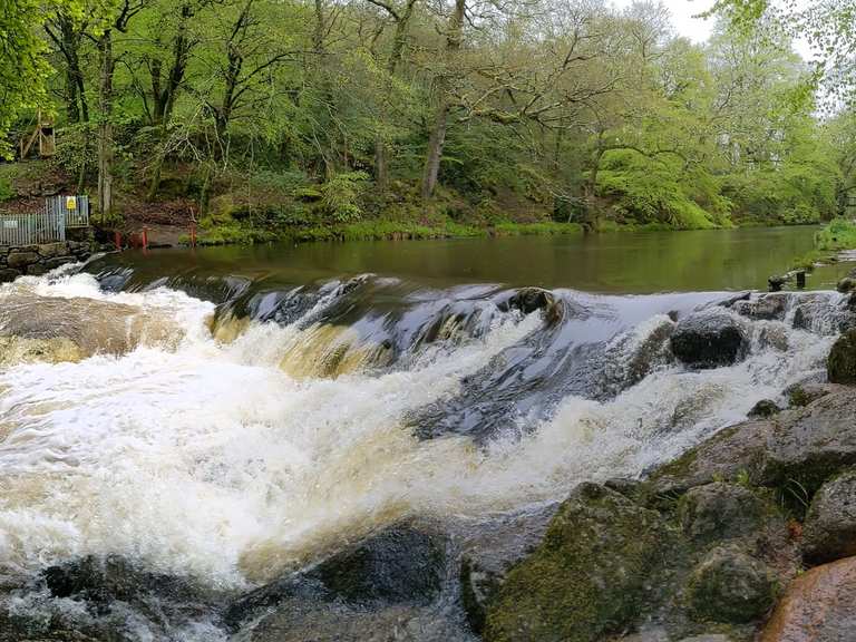 Fingle Bridge Routes for Walking and Hiking | Komoot