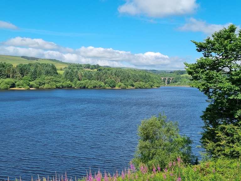 Wayoh Reservoir and Armsgrove Viaduct Routes for Walking and Hiking ...