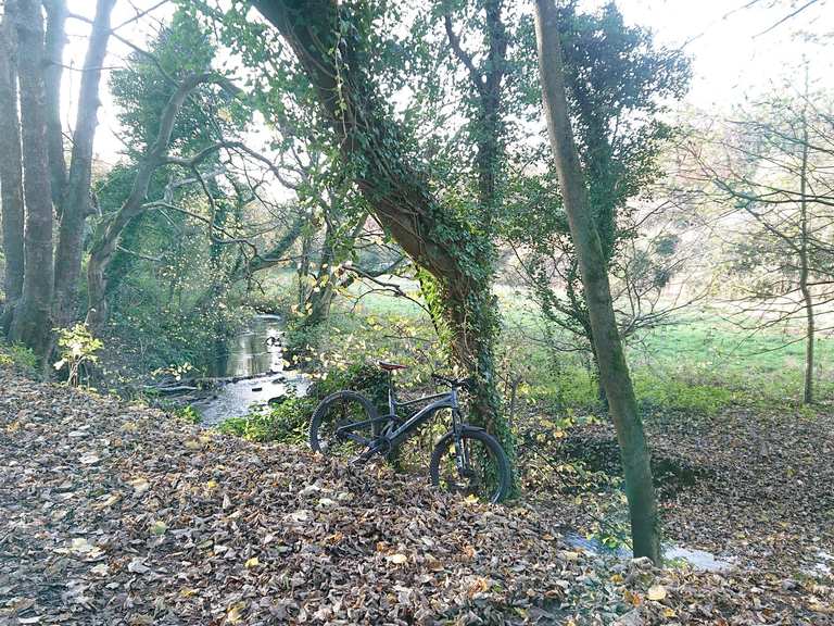 Meden Trail - Mountain Bike Trails & Tracks | Komoot