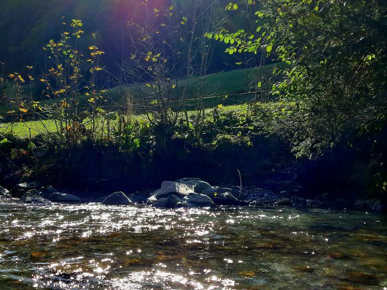 Weisstannen – Alp Siez, Weisstannental Runde von Weisstannen ...