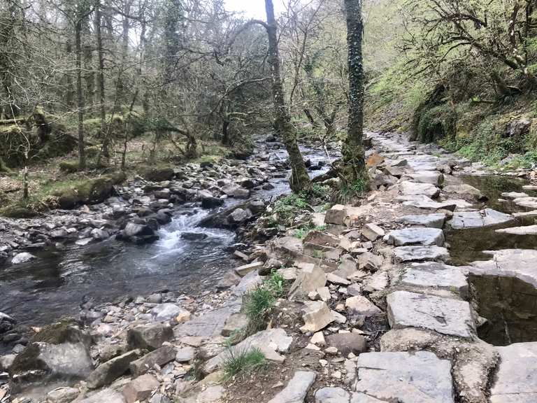 East Okement River Walk - Routes for Walking and Hiking | Komoot