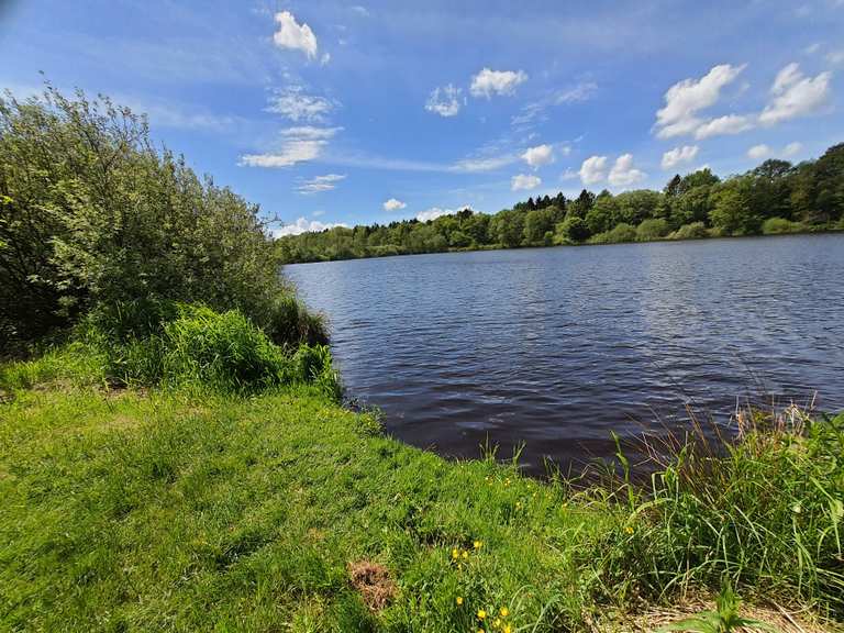 Sunder Seen mit Seerosen : Radtouren und Radwege | komoot