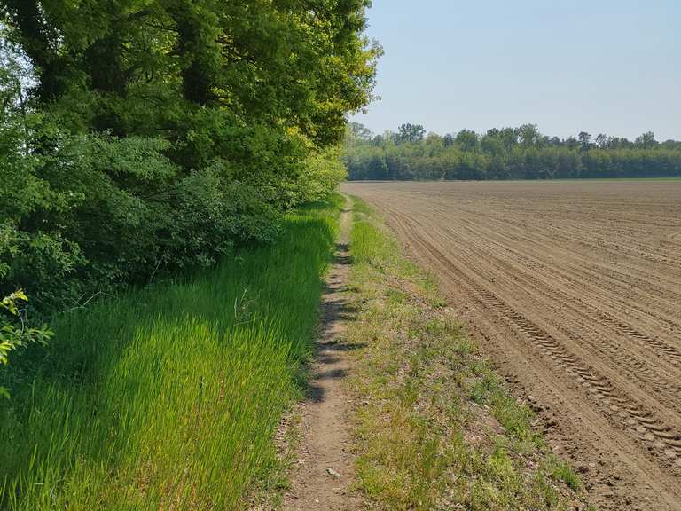 La Base Aereonautica di Cameri y el Parco del Ticino - Ruta circular ...
