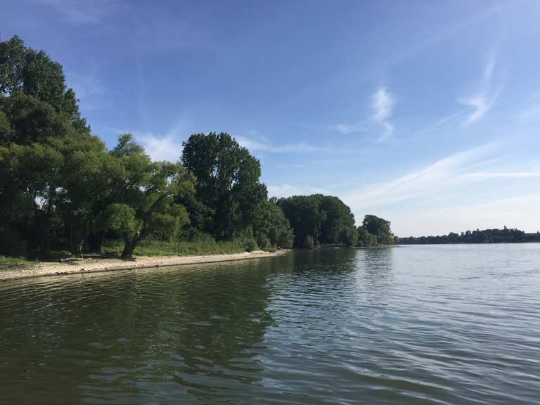 Radtour am Rhein | Mountainbike-Tour | Komoot