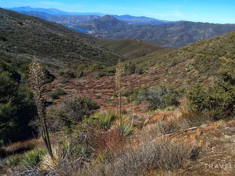 Pętla Bouquet Canyon przez PCT — Angeles National Forest | wycieczka ...