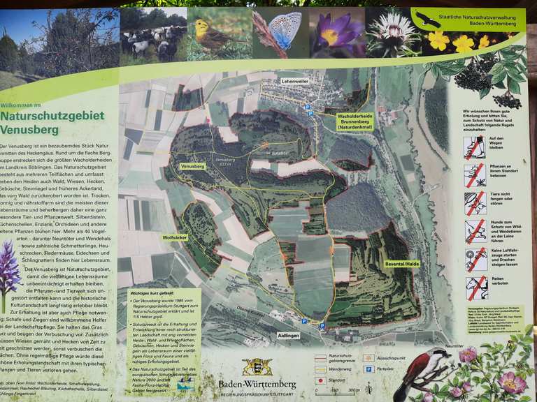 Venusberg Aidlingen Routes for Walking and Hiking | Komoot