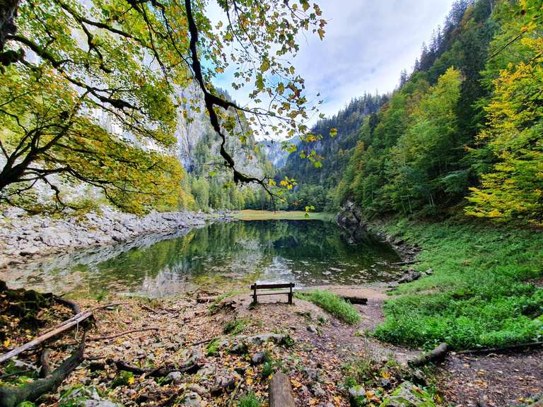 Kammersee und Traunursprung: Wanderungen und Rundwege | komoot