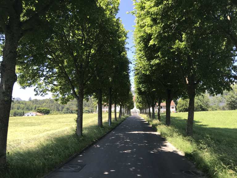 Waldegg Castle - Mountain Bike Trails & Tracks | Komoot