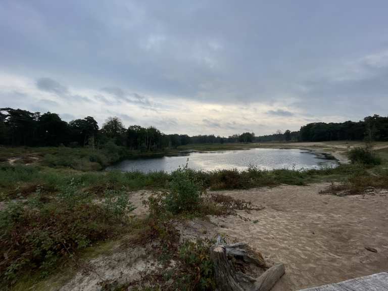 Surae uitkijkplek – Boswachterij Dorst Rondje vanuit Dorst | wandeling ...