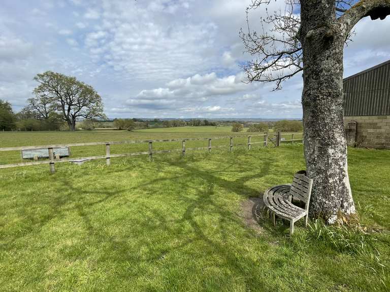 The Tulip Tree – Chiddingstone Village loop from Penshurst | hike | Komoot