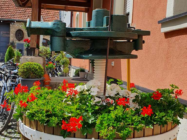 Weinbau Düll – Neuses am Berg loop from Neusetz | hike | Komoot