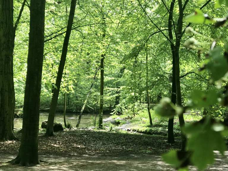 Wandsbeker Gehölz: Radtouren und Radwege | komoot