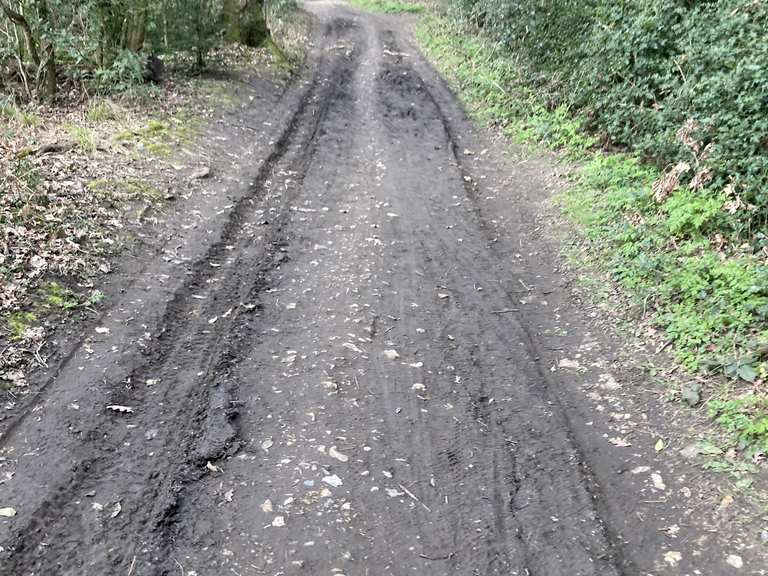 Riddlesdown Common - Mountain Bike Trails & Tracks | Komoot