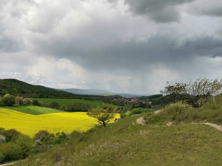 Ziegenberg: Wanderungen und Rundwege | komoot