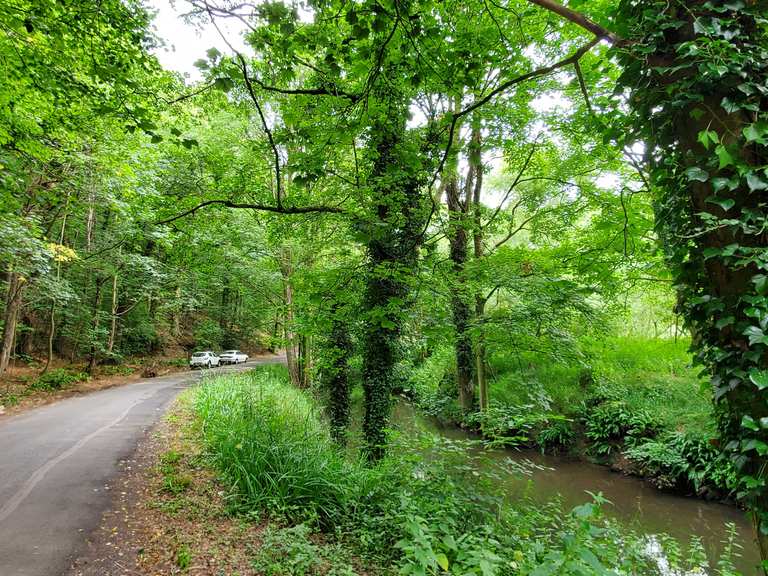 Beautiful Wooded Lane - Road Cycle Routes and Map | Komoot