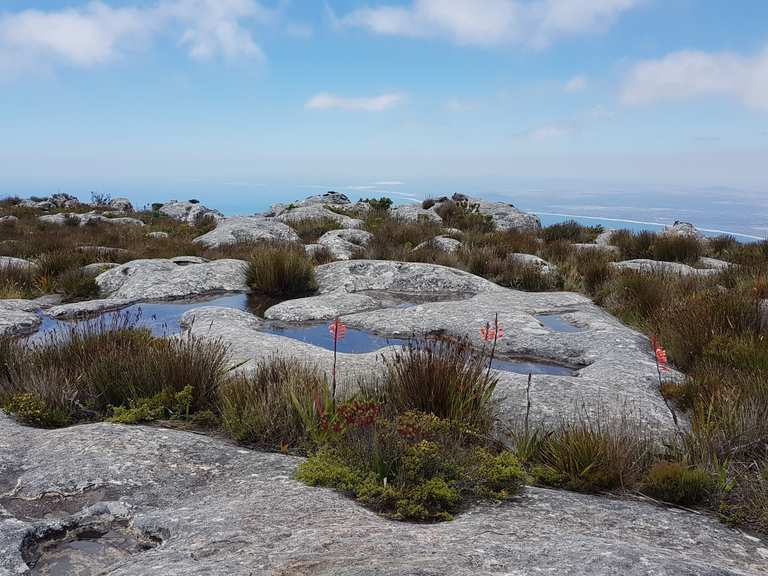 Maclear's Beacon Routes for Walking and Hiking | Komoot