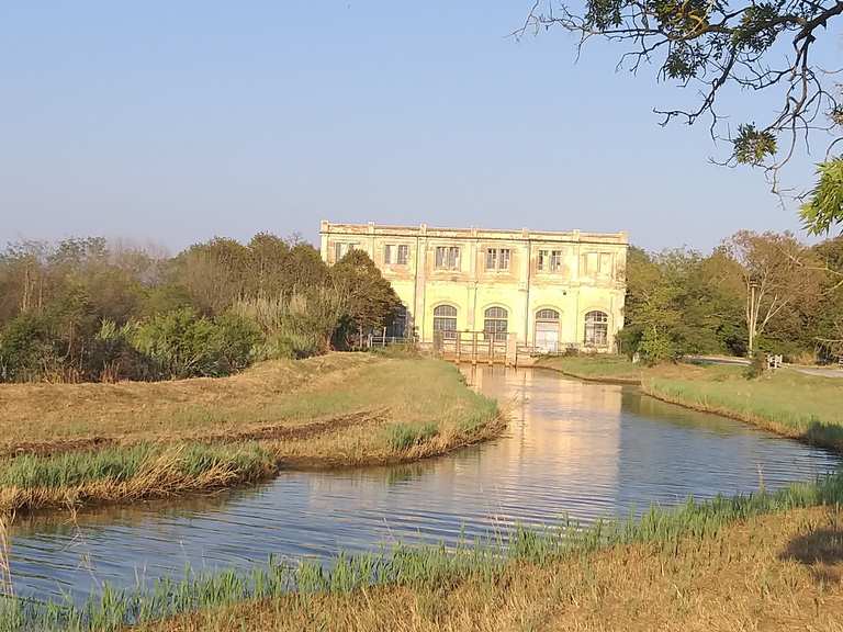 Pisa to Lago Le Tamerici Loop | ride | Komoot