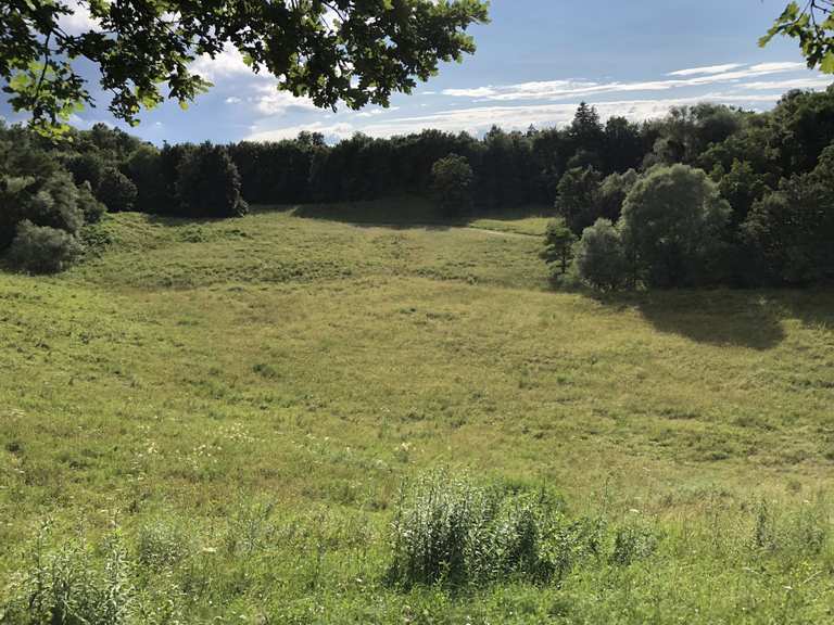 Insel im Großen Böhmerweiher – Aubinger Lohe Runde von Lochhausen ...