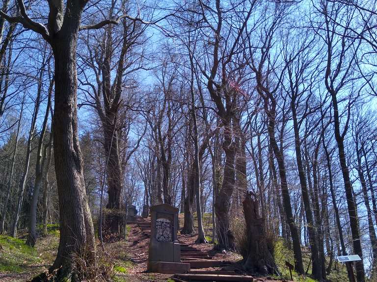 Kruisweg Malmedy 🙏 - wandelroutes en hikes | Komoot