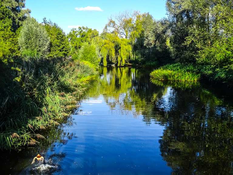 L'Atomium – Chemin forêt de Soignes Rondje vanuit Uccle-Calevoet - Ukkel-Kalevoet | fietstocht ...
