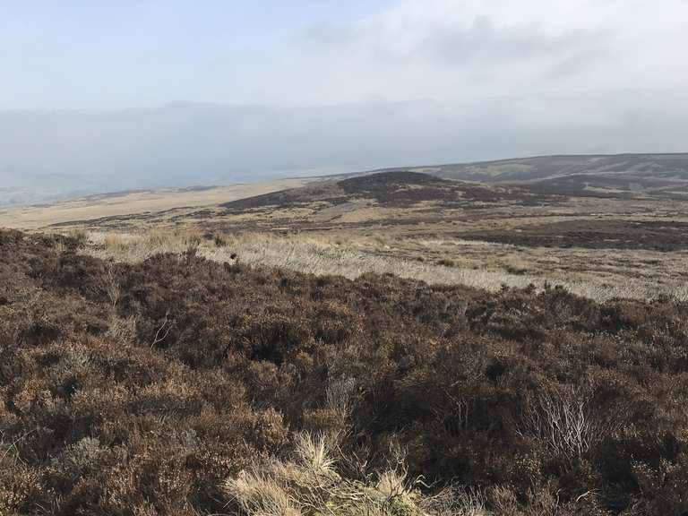 Threshfield Moor: Mountainbike-Touren und -Trails | komoot