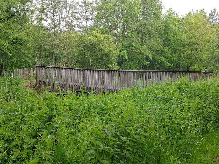 Natuurreservaat De Goort: Wanderungen und Rundwege | komoot