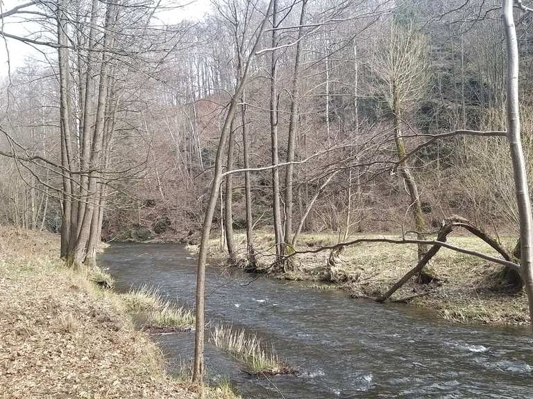 Wanderung Entenschnabel: Wanderungen und Rundwege | komoot
