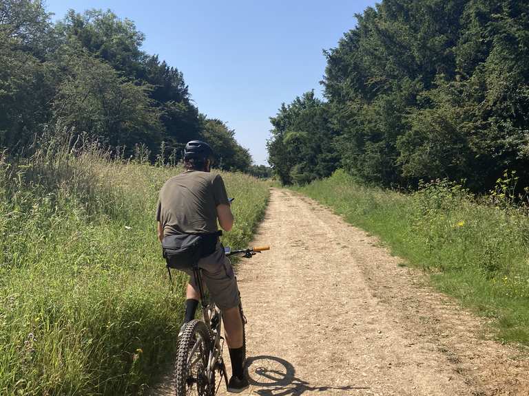 Kingley Vale view point - Mountain Bike Trails & Tracks | Komoot