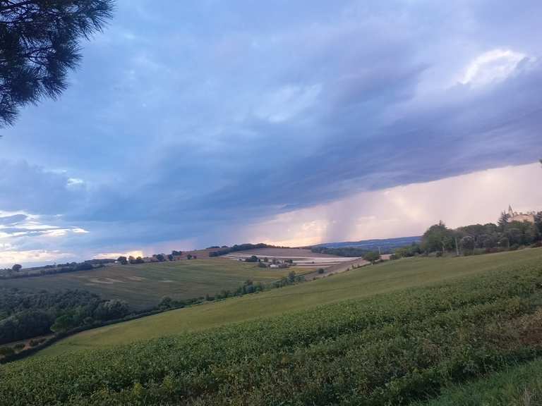 Domaine de Ribonnet: Rennradfahren und Rennradtouren | komoot