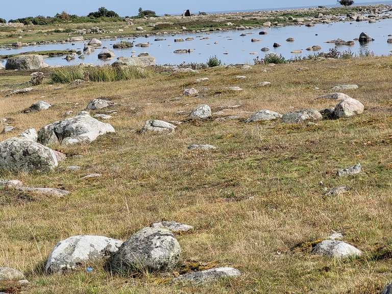 Torhamns Udde Natur- Fågelreservat wandelroutes en hikes | Komoot