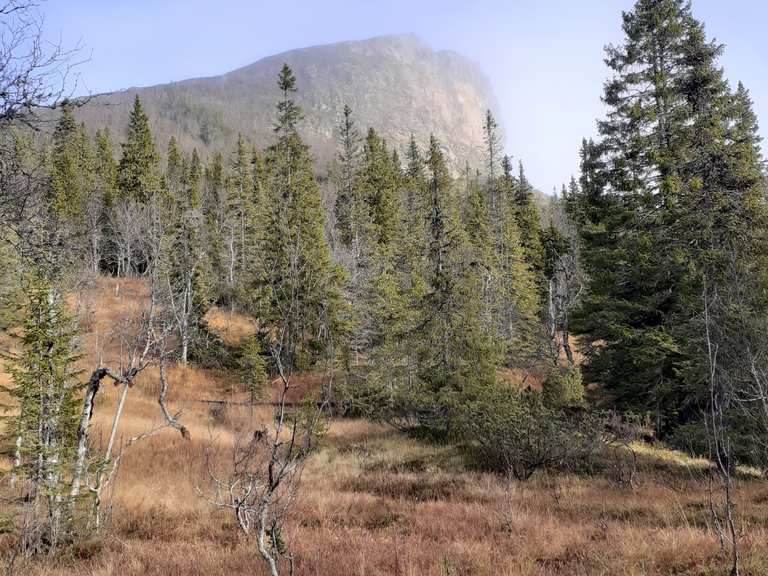 Hiking loop from Huså | hike | Komoot