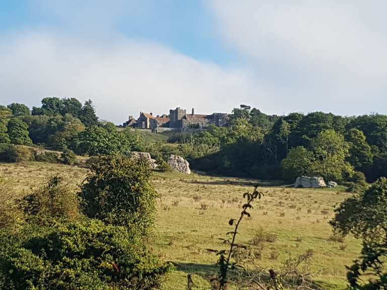 Lympne Castle & Howletts & Port Lympne Wildlife Reserve loop — Kent ...