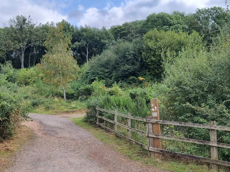 Ryton Pools Country Park loop | Mountainbike-Tour | Komoot
