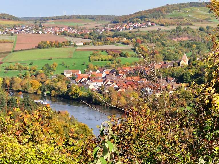 Mainschleife bei Urphar – das Himmelreich vor Augen : Radtouren und ...