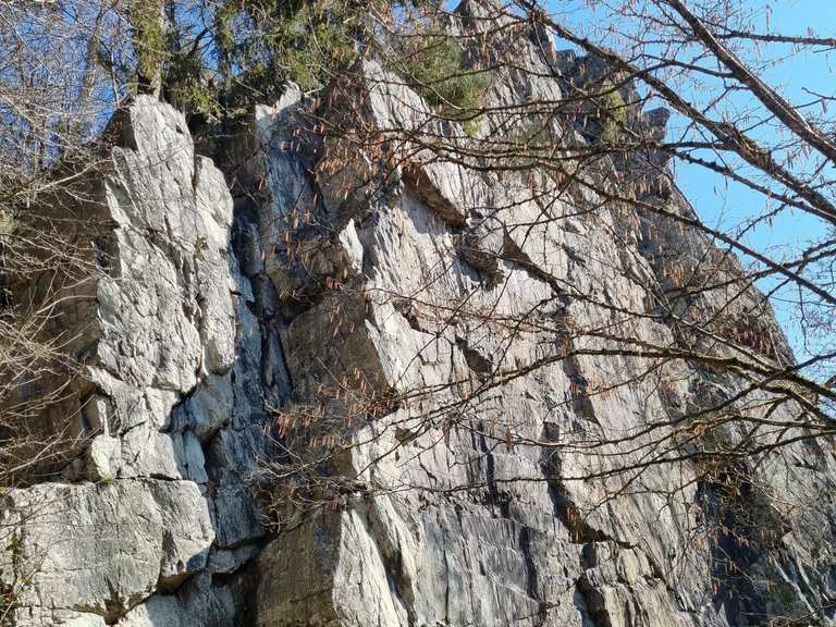 Rocher de Warche – point de vue wandelroutes en hikes | Komoot