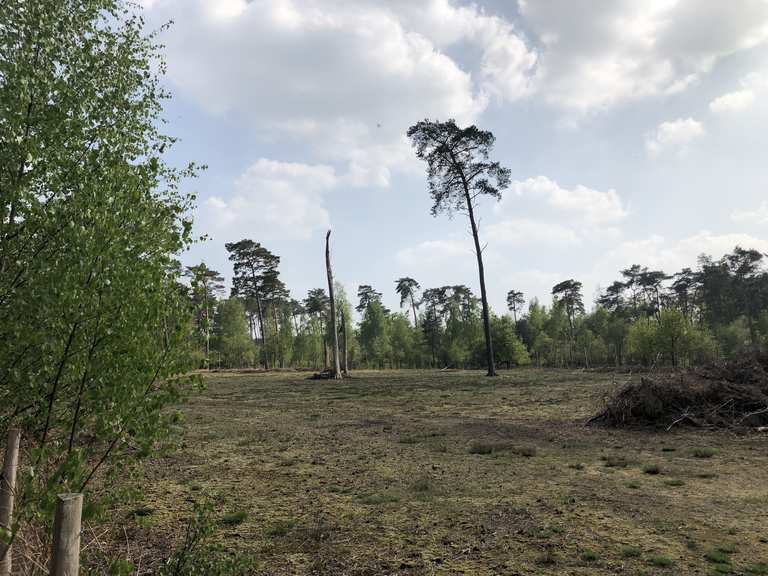 Droge heide - herstelgebied wandelroutes en hikes | Komoot