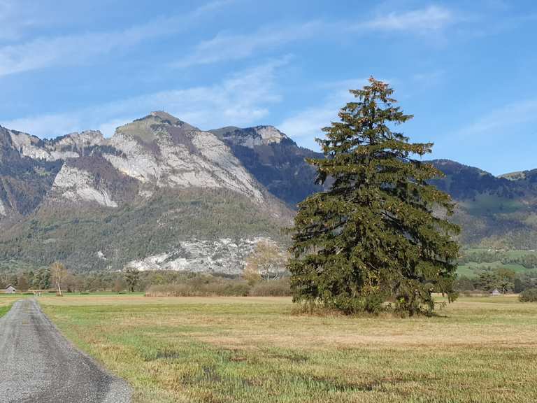 Ruggeller Riet: Wanderungen und Rundwege | komoot