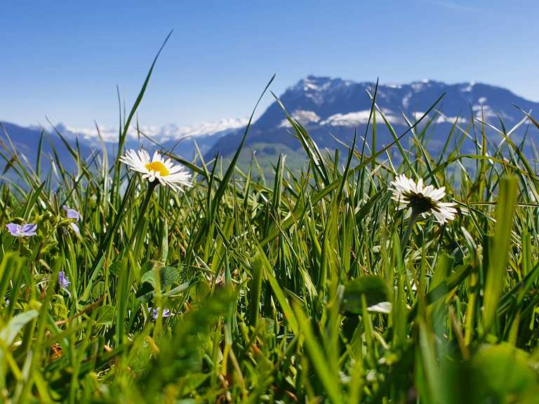 Rooterberg Routes for Walking and Hiking | Komoot