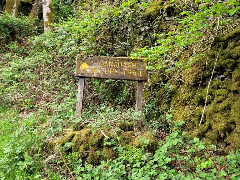 Lingmoor Fell – Side Pike loop from Elterwater | hike | Komoot