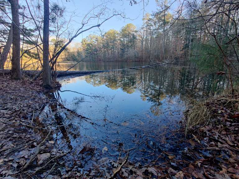 Sibley Pond Routes for Walking and Hiking | Komoot