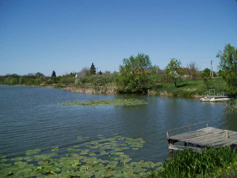 Am Ufer der Theiss : Radtouren und Radwege | komoot